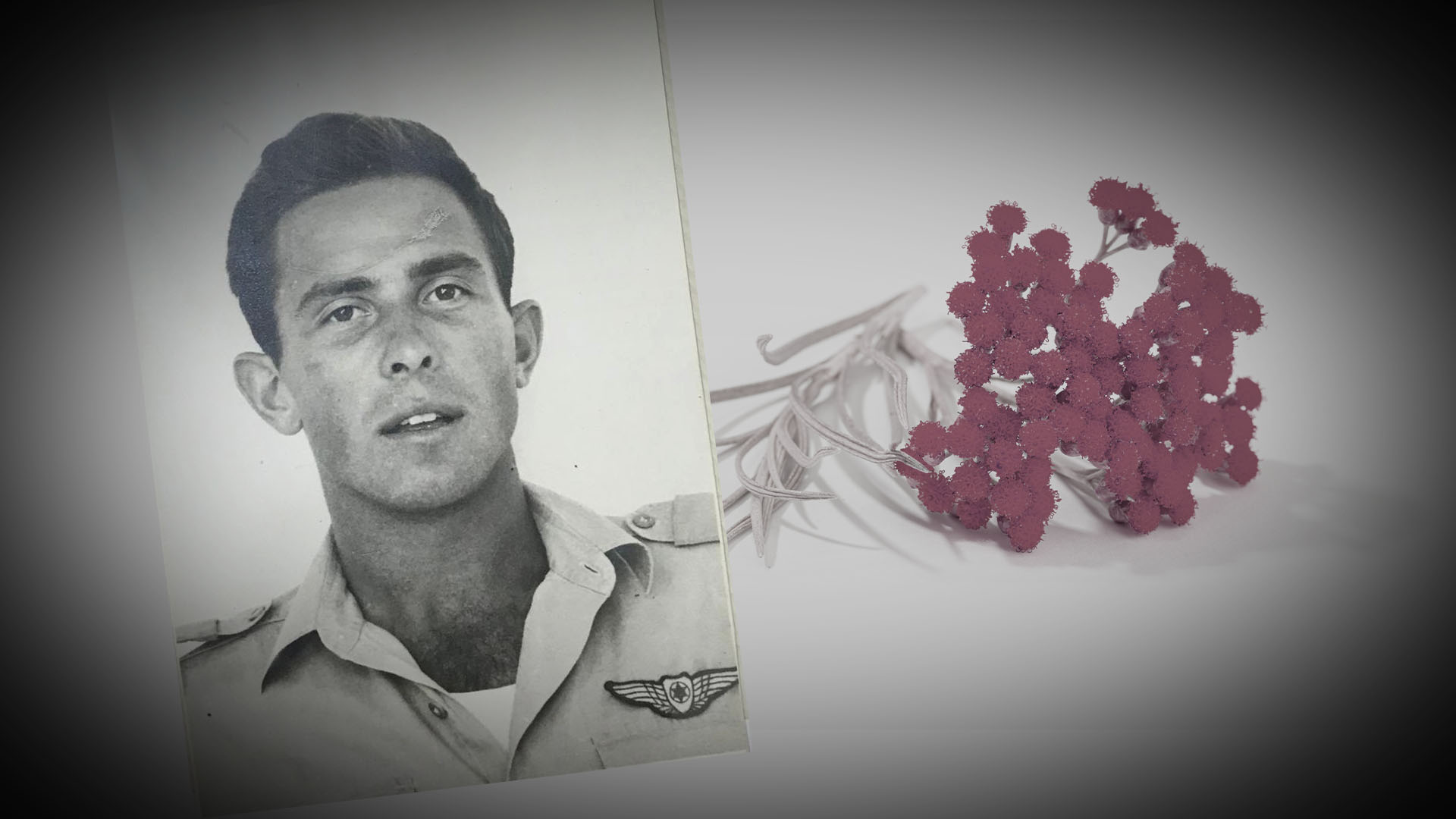 שוב על ההר - jonathan-perlman.co.il